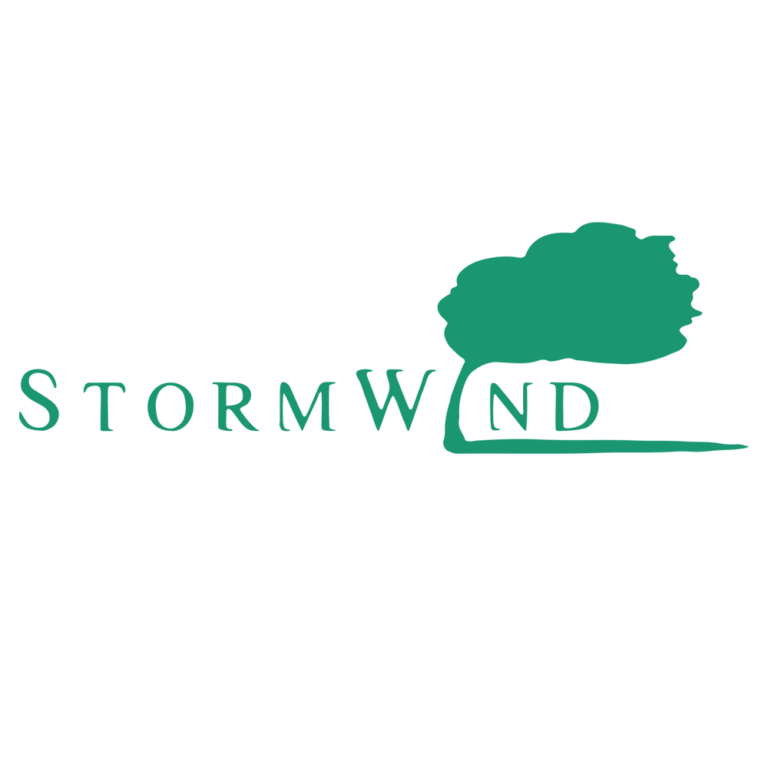 StormWind Studios | ESC of Indiana
